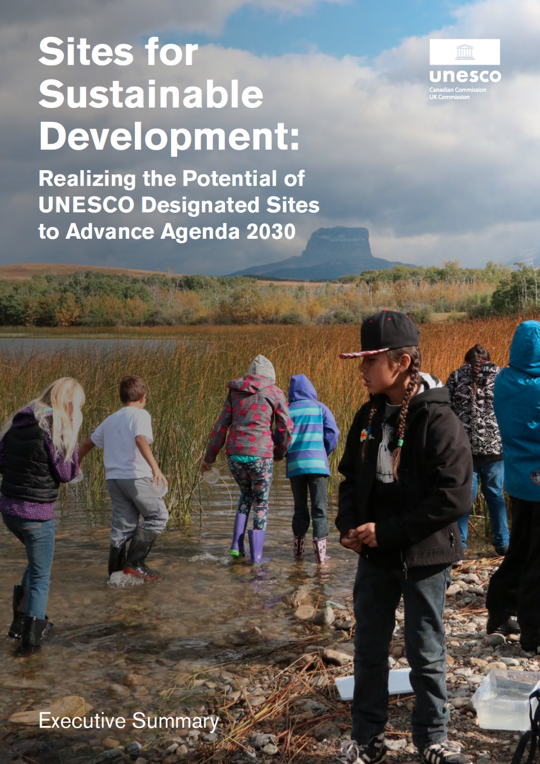 Executive Summary - Sites for Sustainable Development: Realizing the ...