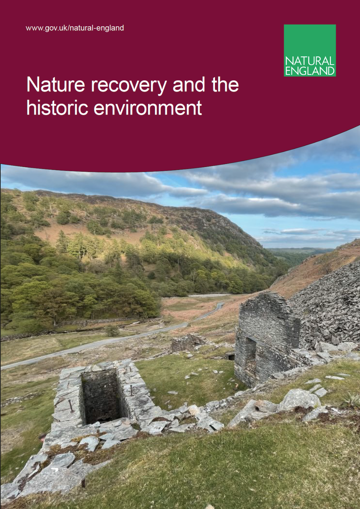 Nature recovery and the historic environment - Natural England | UNESCO ...