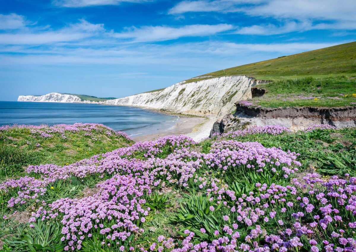 Isle of Wight Biosphere | UNESCO in the UK