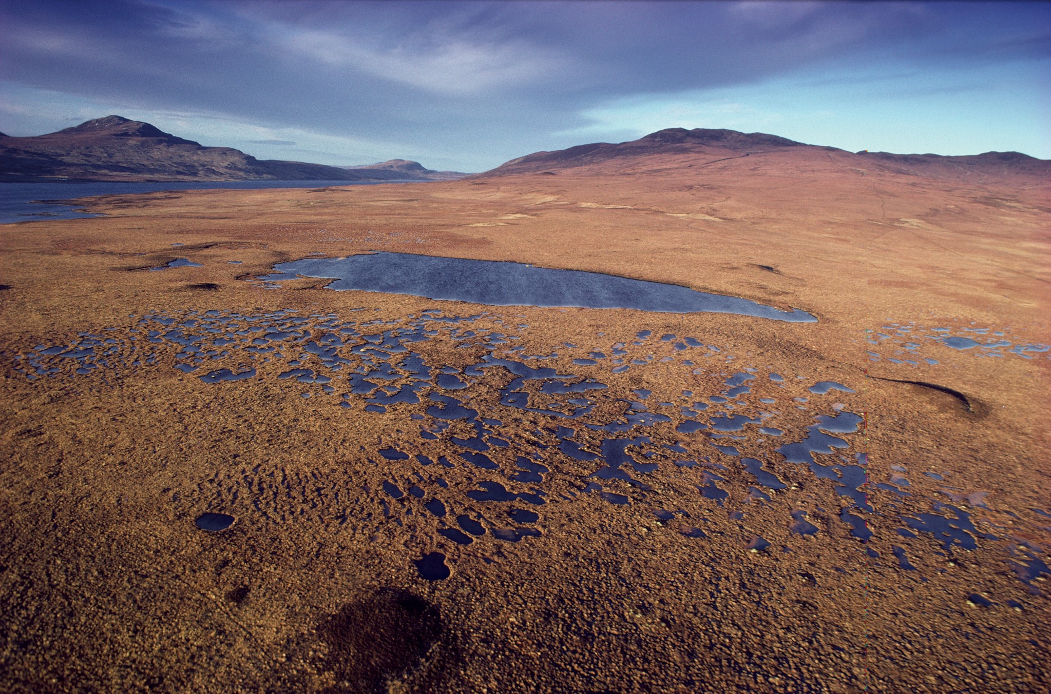 The Flow Country | UNESCO in the UK