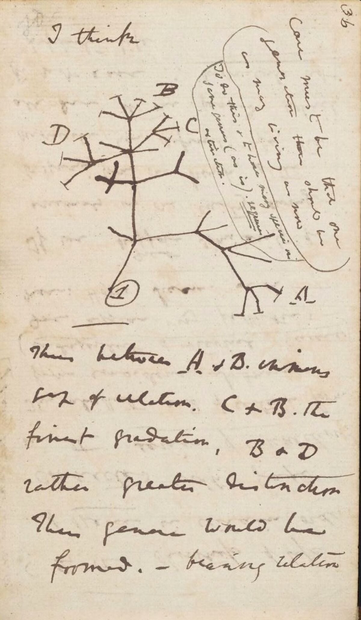 Documentary heritage relating to the life and work of Charles Darwin ...