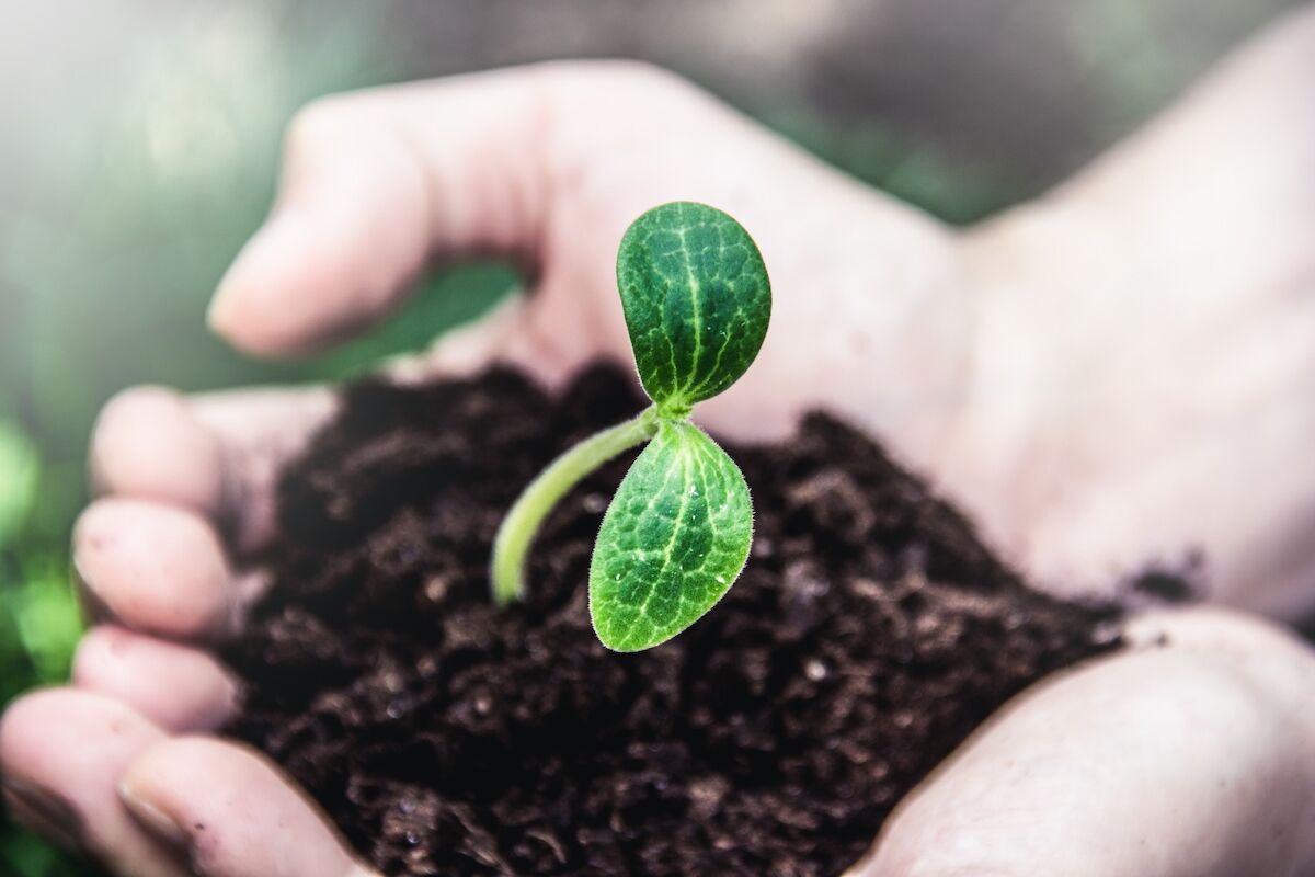 'Seeds of Hope for a Better Future' - UNESCO Associated Schools Network ...