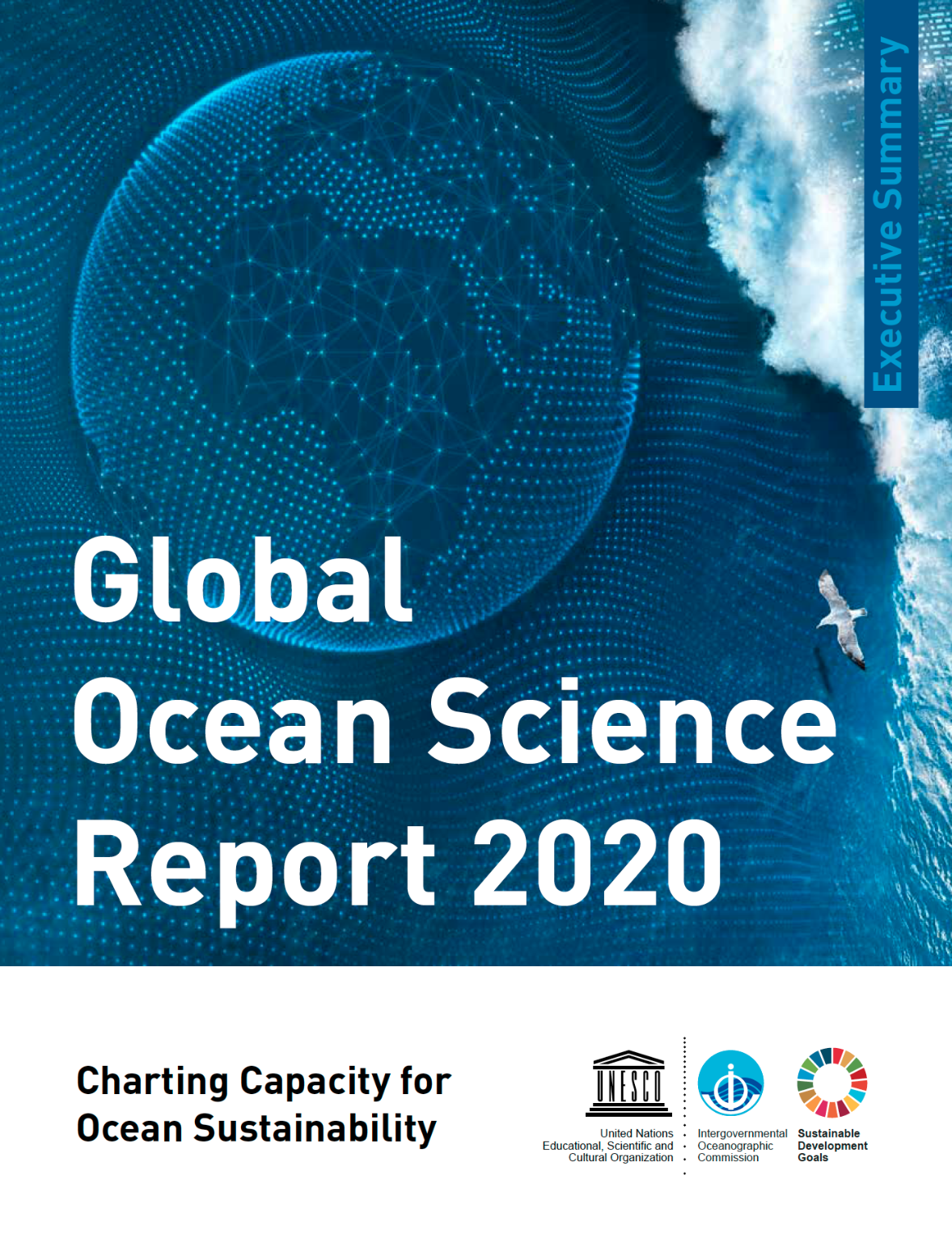 Global Ocean Science Report 2020: Charting Capacity for Ocean ...